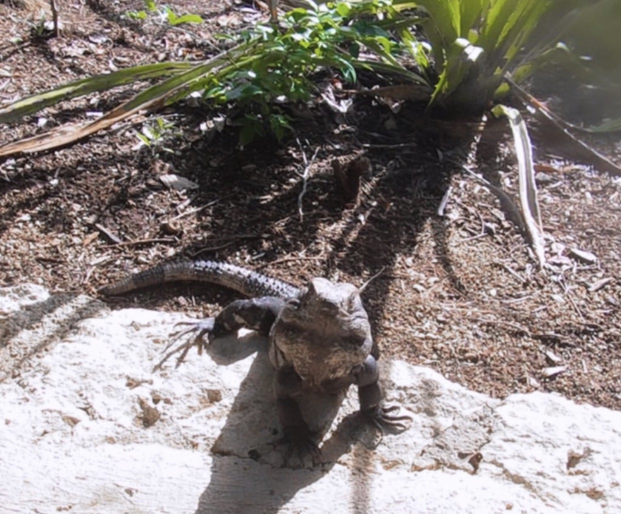 Cancún, Mexico – FruMyLens